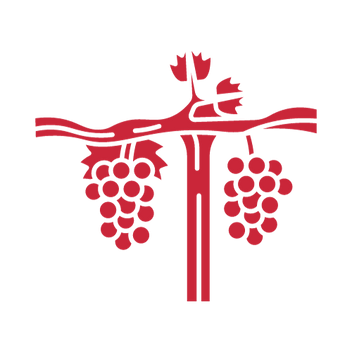 Meet The Team – Wine Victoria
